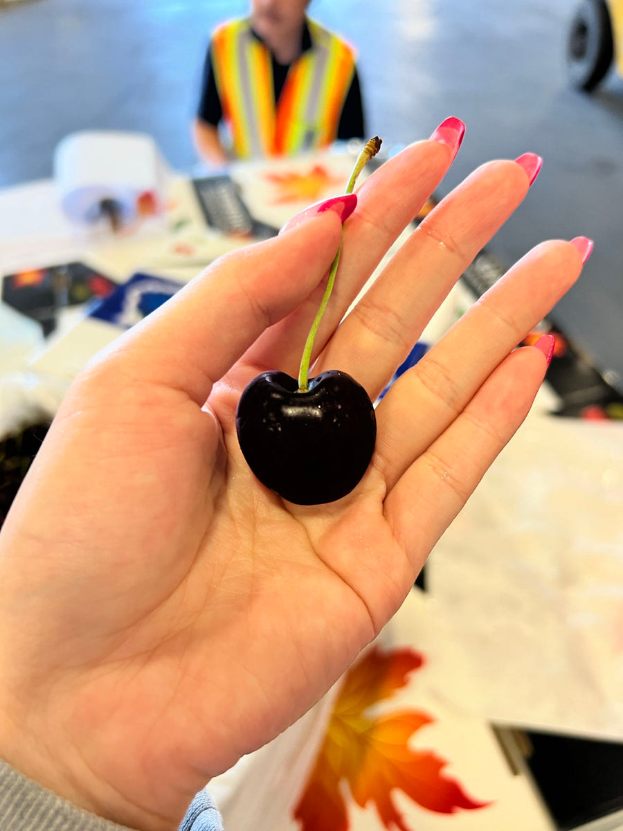 9.5R / 28mm 加拿大出口級櫻桃空運直郵台灣 5KG/ 箱 (2025) – iWOW Living