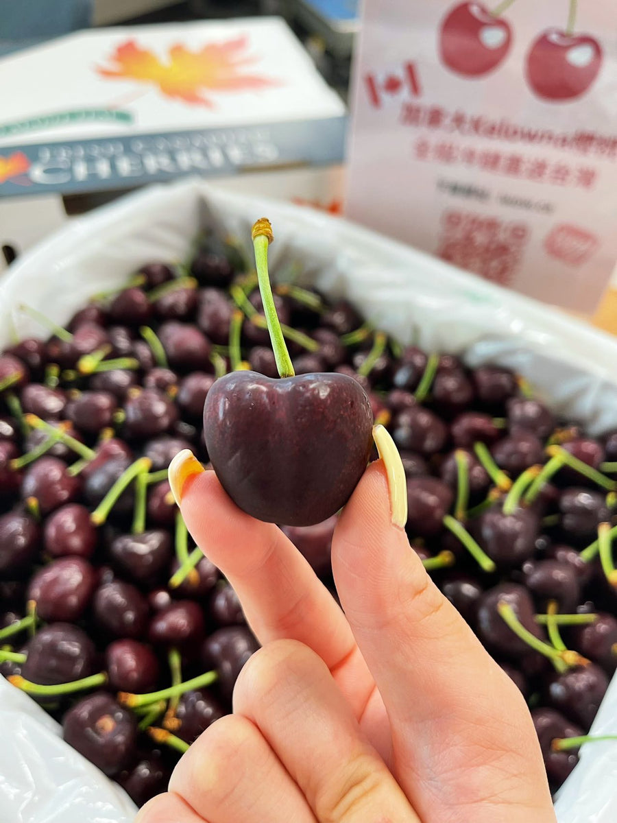 8.5R / 32mm 加拿大出口級櫻桃空運直郵台灣 5KG/箱 (2025) – iWOW Living